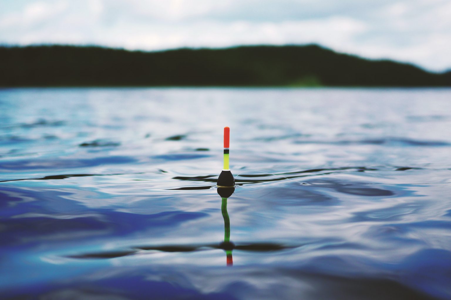 Fishing For Beginners GO Outdoors Blog fishing-for-beginners-go-outdoors-blog