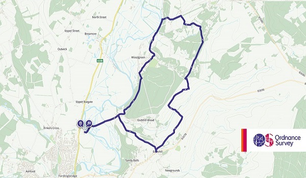 10 New Forest Walking Routes | GO Outdoors Blog