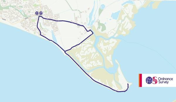 10 New Forest Walking Routes | GO Outdoors Blog